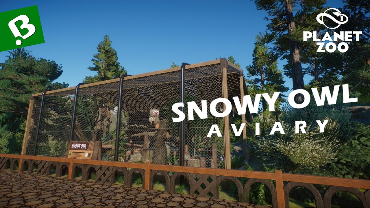 Snowy Owl Aviary Habitat | Planet ZOO workshop - YouTube