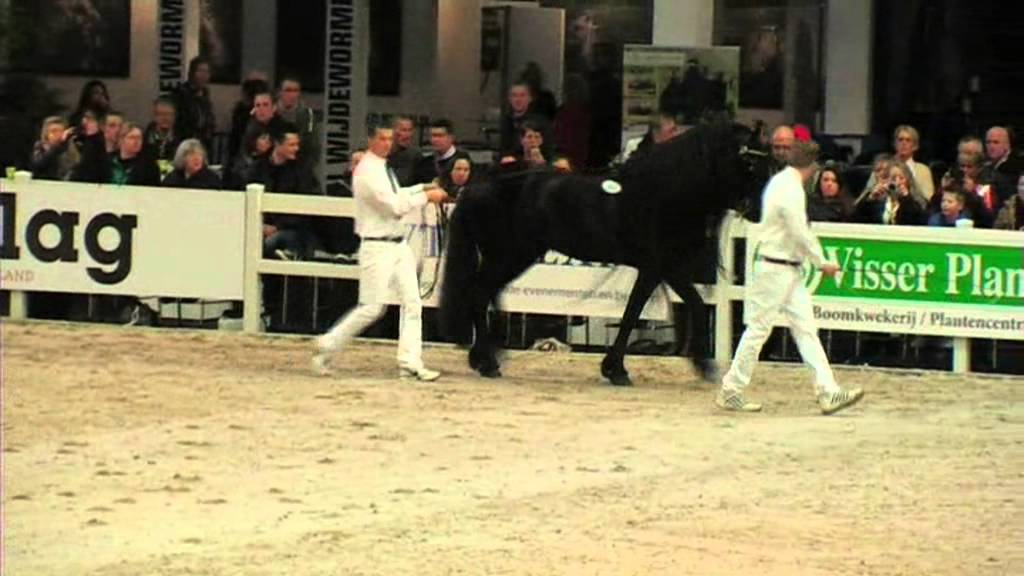 Jasper 366 at Leeuwarden 2013 - YouTube