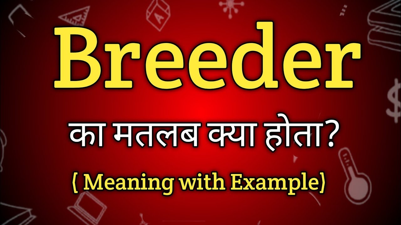 Breeder Meaning in Hindi | Breeder Ka Matlab kya Hota hai | English to ...