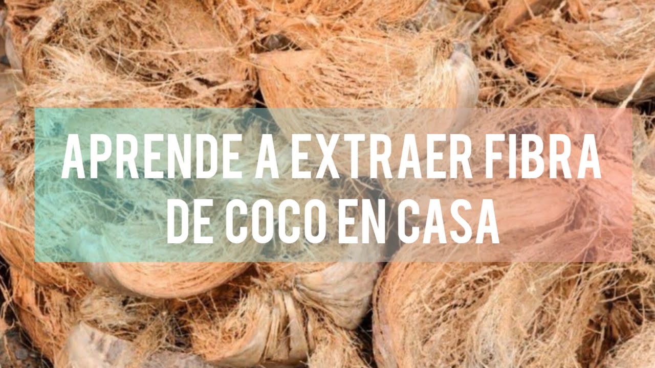 Como hacer fibra de coco desde cero fácil y rápido/ turba de coco ...