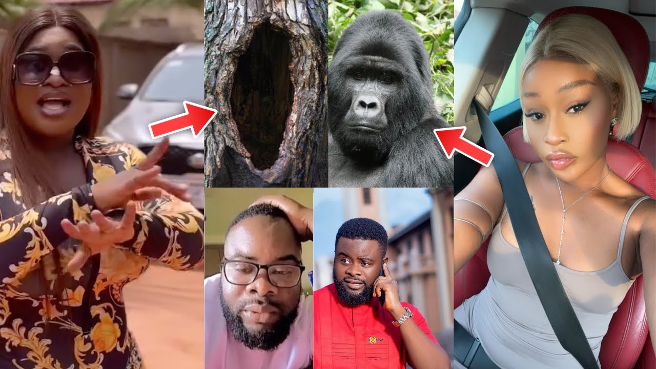 Ei, Sista Afia & Efia Odo F!ght Again! YoLo Actor Drogba Drops Sαd ...