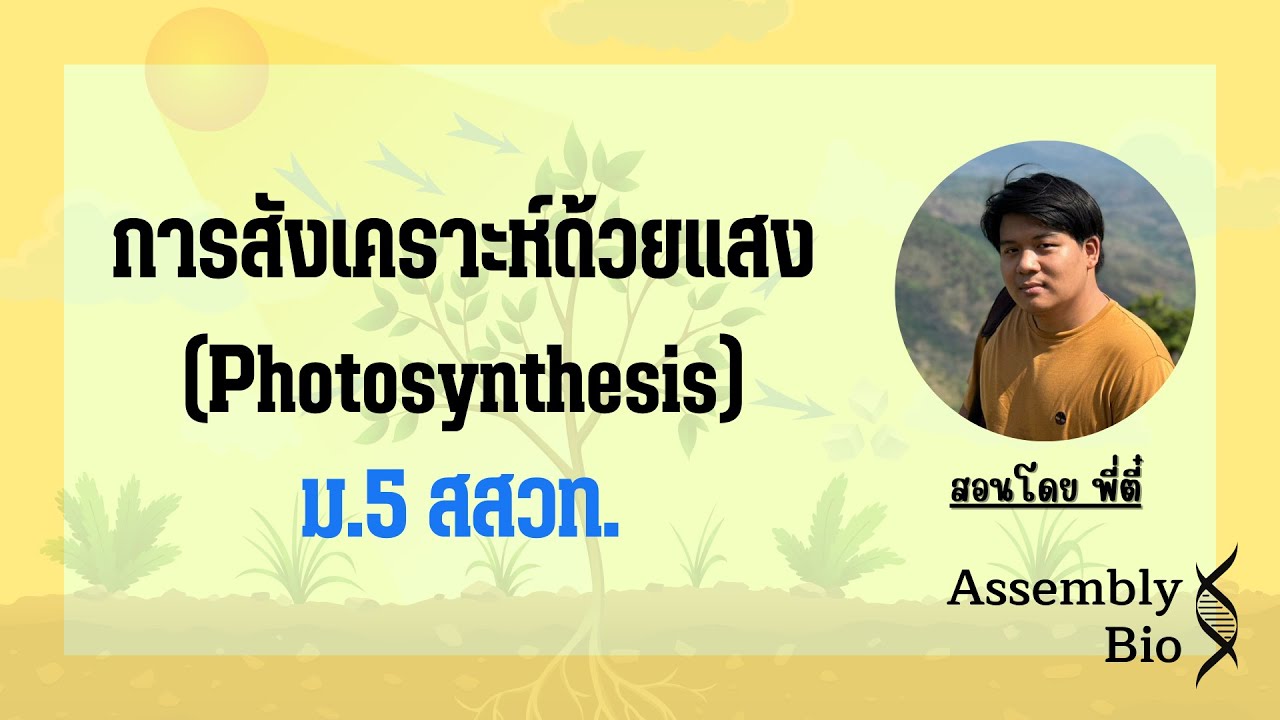 ติวชีวะฟรี บทการสังเคราะห์ด้วยแสง by Assembly Bio - YouTube