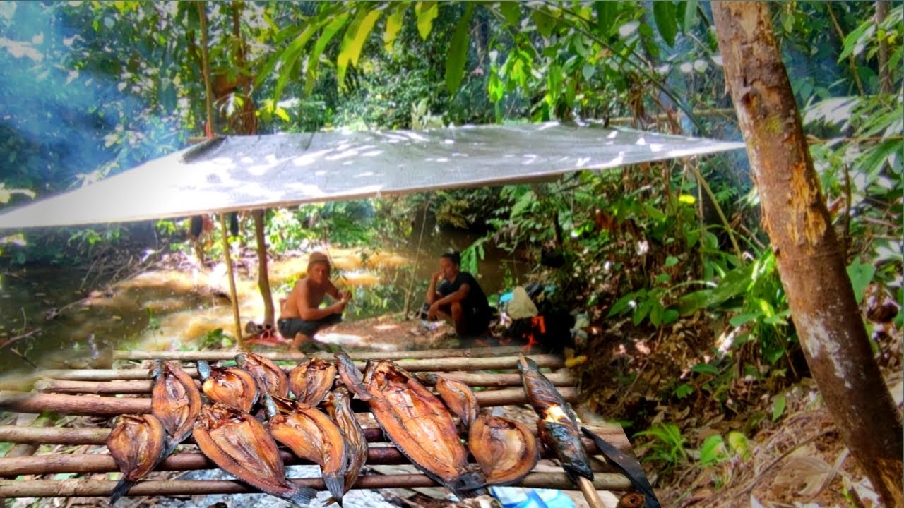 Fishing_camp// hutan rawa modal tajur makan ikan sampe kenyang - YouTube