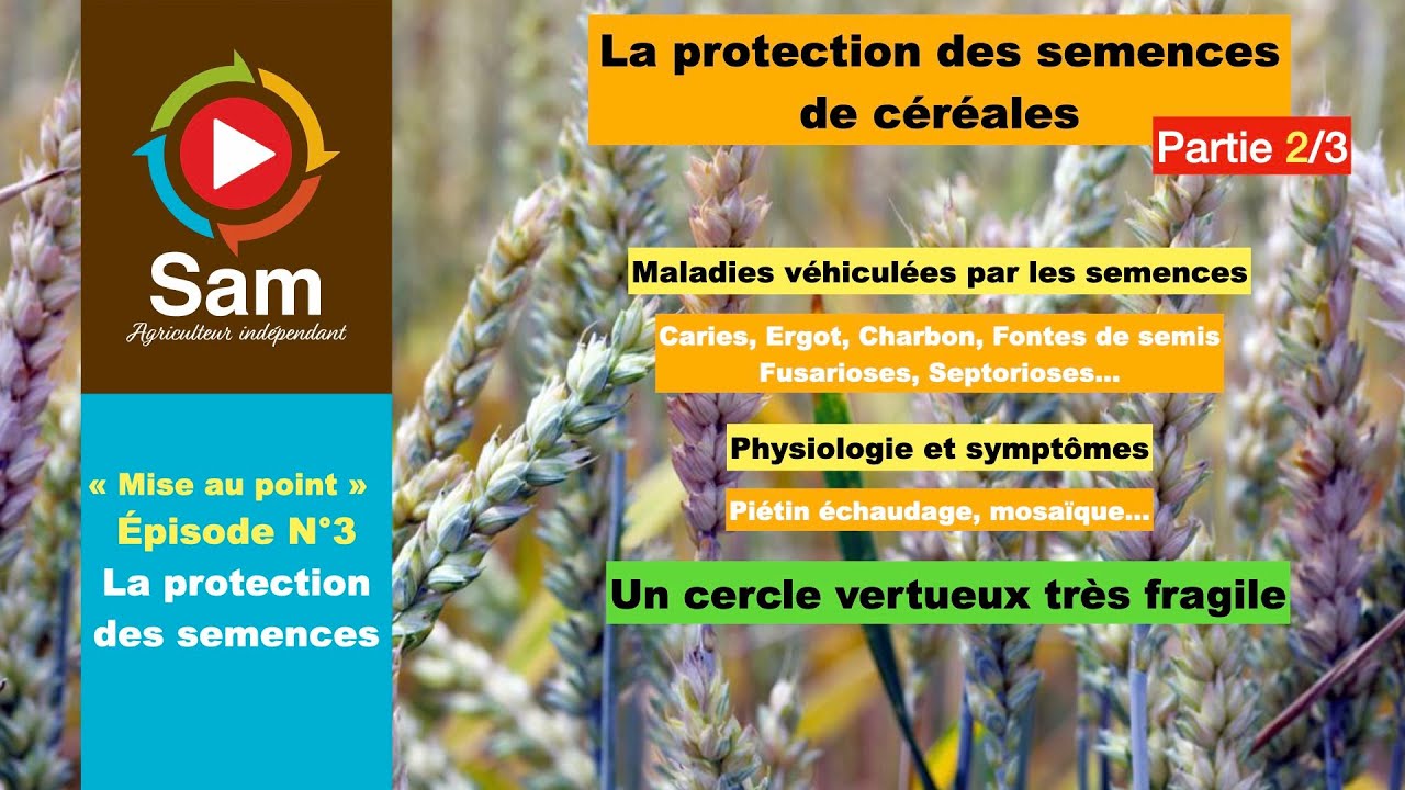 Mise au point #2 Maladies et protection des semences; De l'inconscience ...