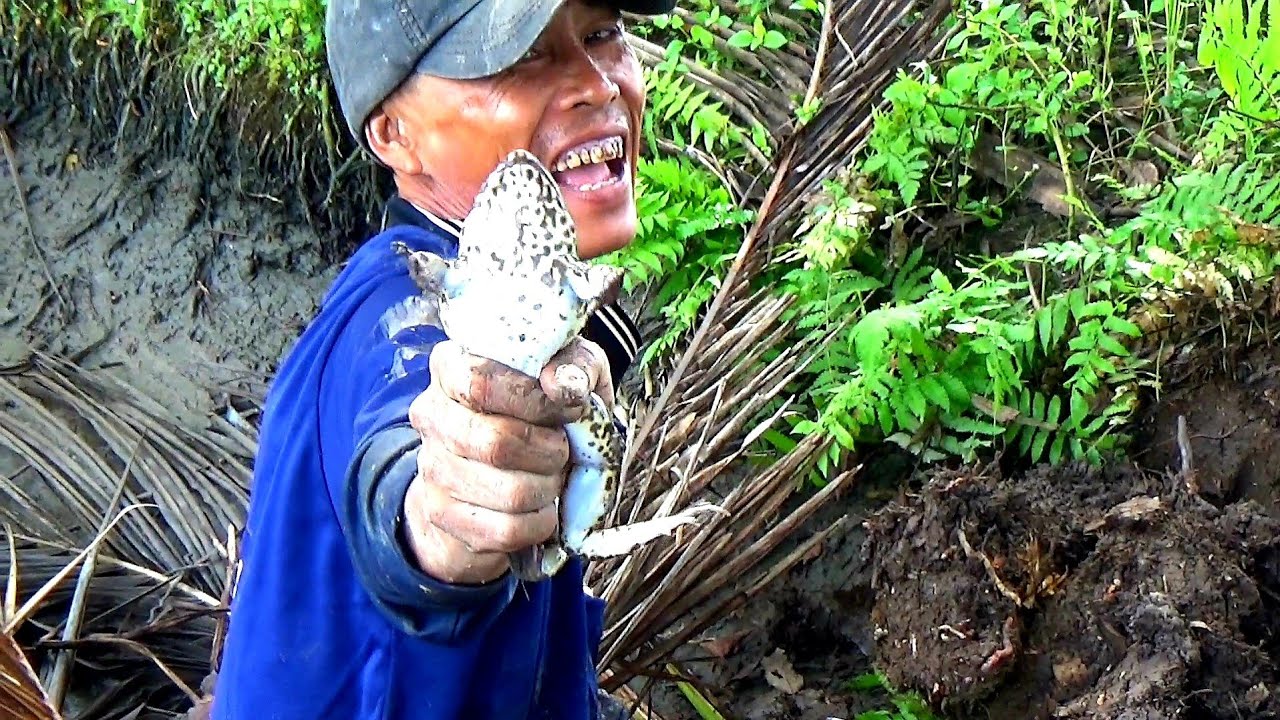 Ngày Mưu Sinh Vất Vả Cùng Nồi Canh Sim Lo Ngon Lạ Lần Đầu Được Ăn - YouTube