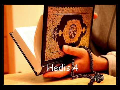 hedis 4