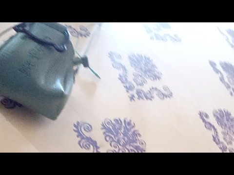 Rashi Ali is live - YouTube