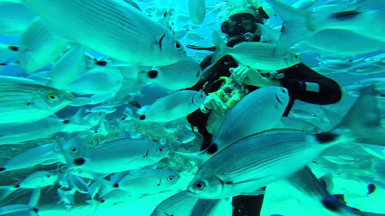 Diving Malta Comino Island at Santa Maria Bay - YouTube