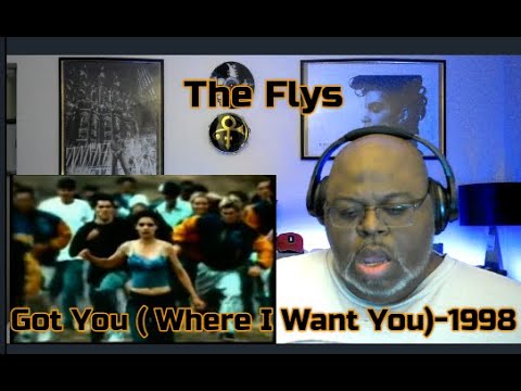 Well, I Think You're Smart ! The Flys - Got You (Where I Want You) 1998 ...