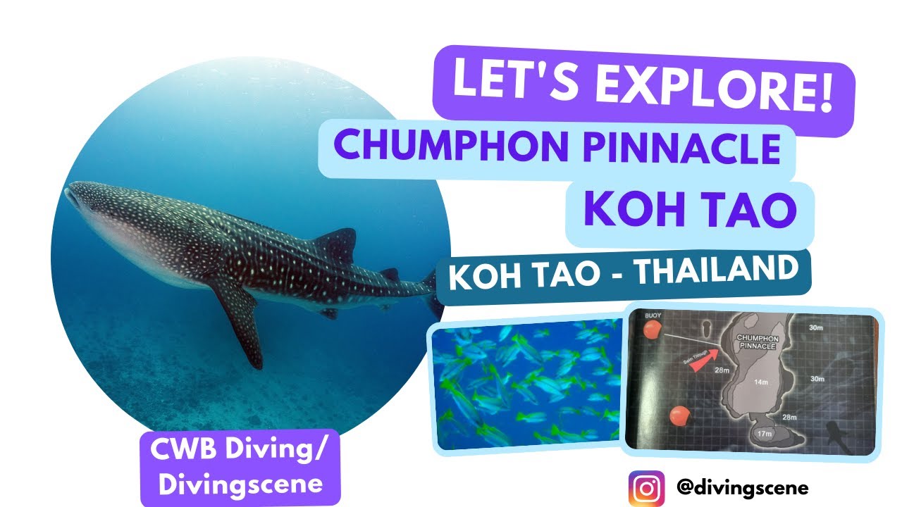 Chumphon Pinnacle - Better than Sail Rock? Let's find out! * HUGE ...