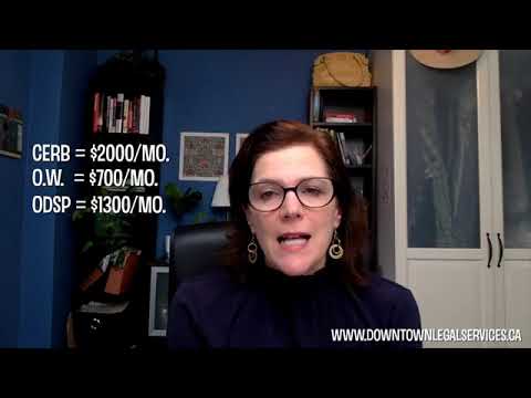 Lisa Cirillo of Downtown Legal services ( poverty) - YouTube
