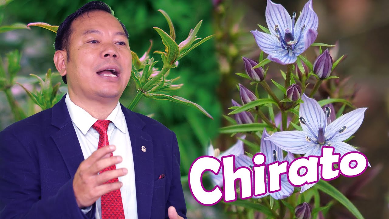 Chirato || DrDB | Dr. DB Sunuwar | Holistic Health | Holistic Online TV ...