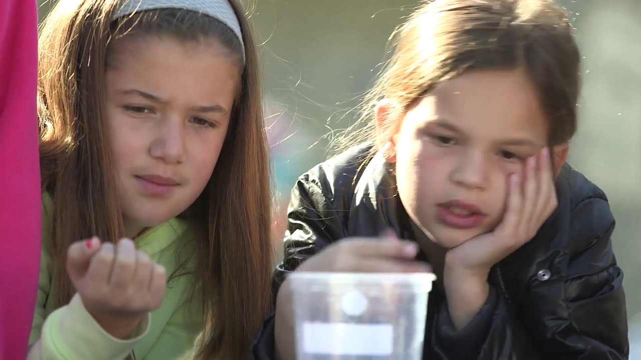 FOSS Next Generation on NSTA TV - YouTube