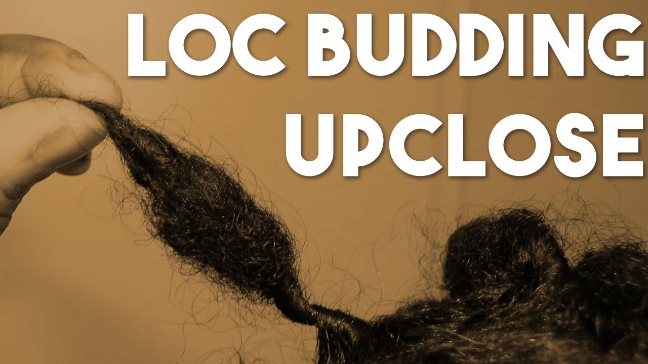 My Locs Are Budding! - YouTube