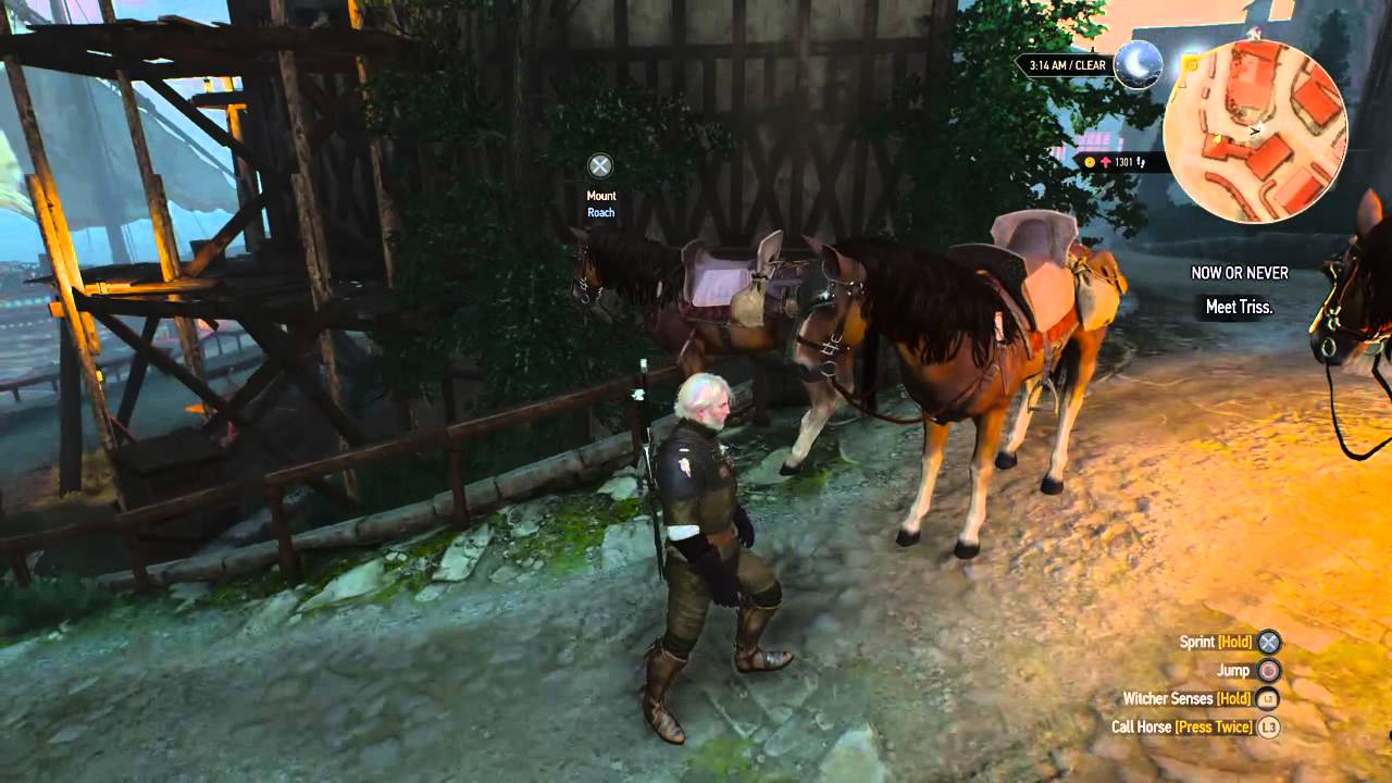 Weird Roach Glitch - The Witcher 3 - YouTube