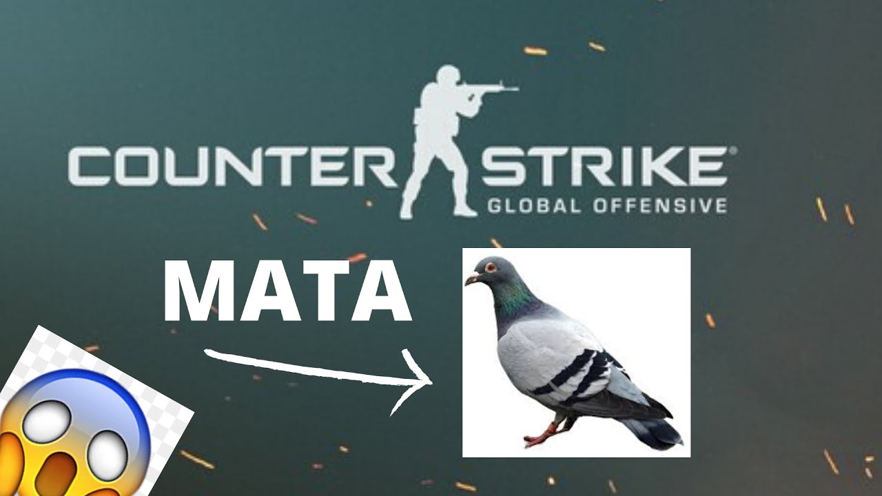 Jogando CS:GO em 4K - Mata pombo (ft joaogamespvp1000, Bellucci) - YouTube