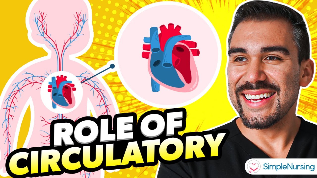 Unveiling the Vital Role of the Circulatory System - YouTube