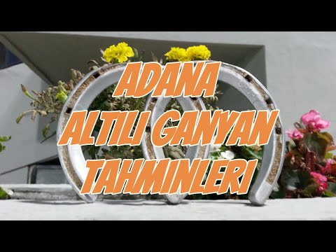 31 Mart 2026 Salı Adana at yarışı tahminleri , Horse Turk altılı ganyan yorum
