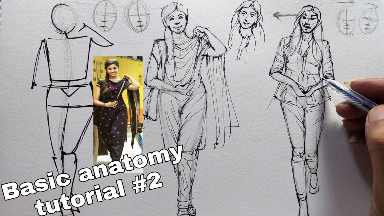 Basic Anatomy Tutorial/part #2 - YouTube