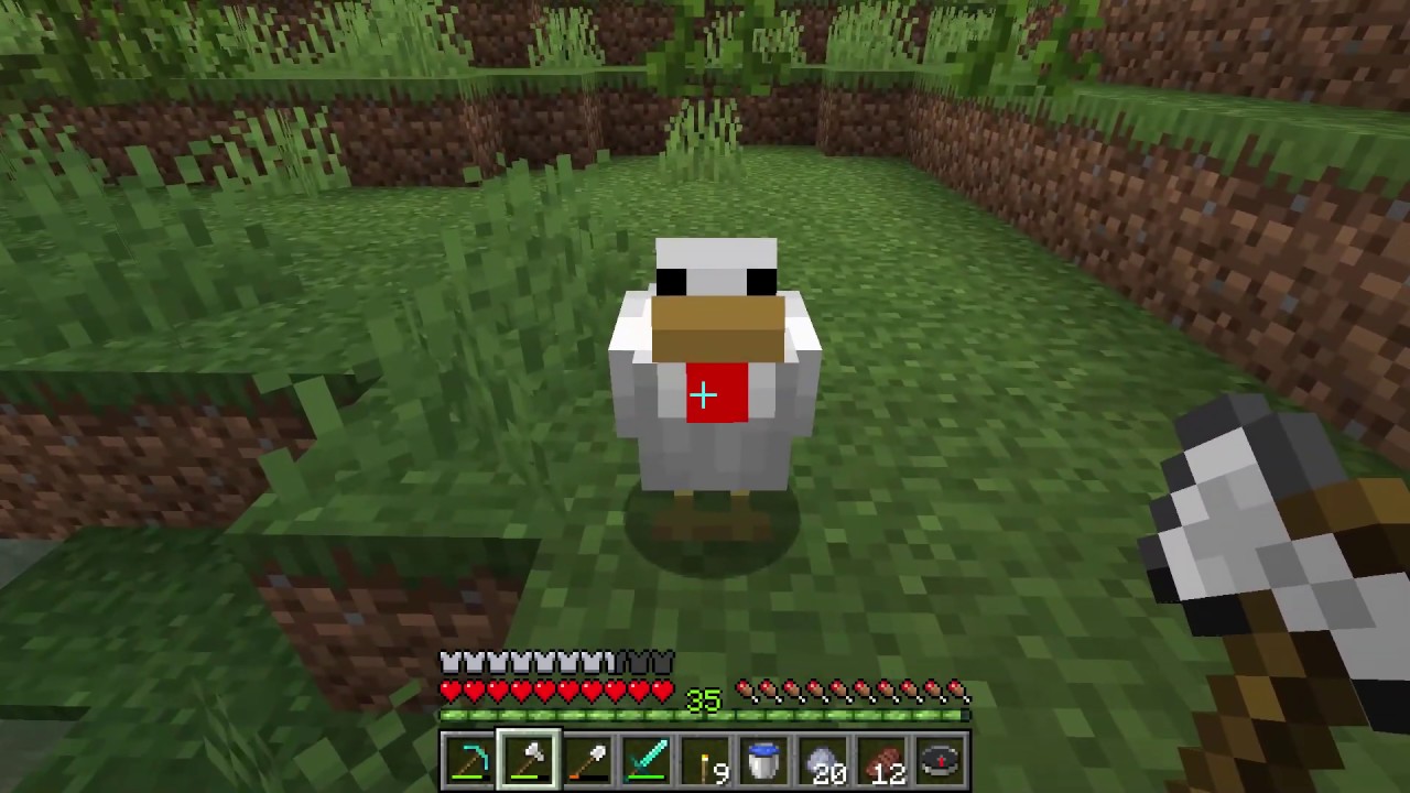 Raw Chicken Minecraft