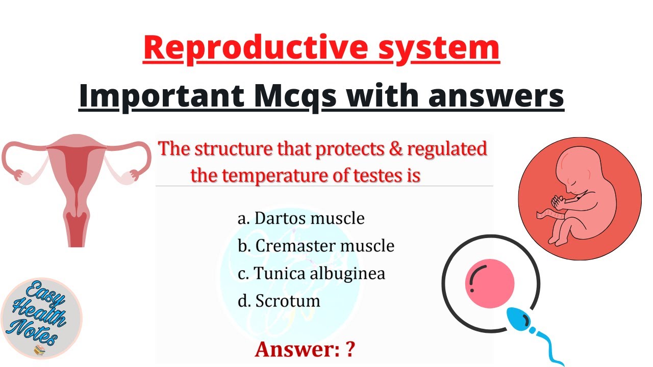 Know about Reproductive system ।। Important MCQs ( multiple choice ...