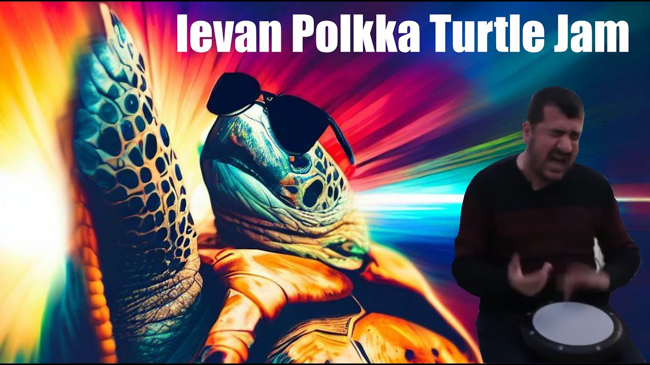 Tortoise Vibing To Ievan Polkka | Tortoise Vibing Meme - YouTube