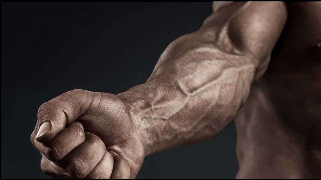 how to get your veins to show all the time - how to get vascular arms ...