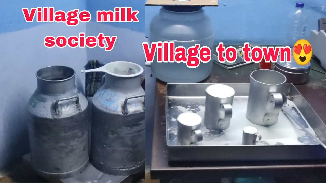 Milk society! from village to town ! பால் கொள்முதல் நிலையம் நமது ...