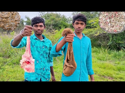 Boti Gojju Recipe/ಬೋಟಿ ಗೊಜ್ಜು/Kannadiga Village Cooking #boti #gojju # ...