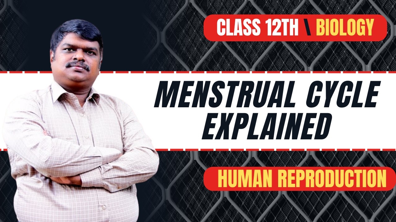 Menstrual Cycle Explained | Human Reproduction | Class 12 Biology ...