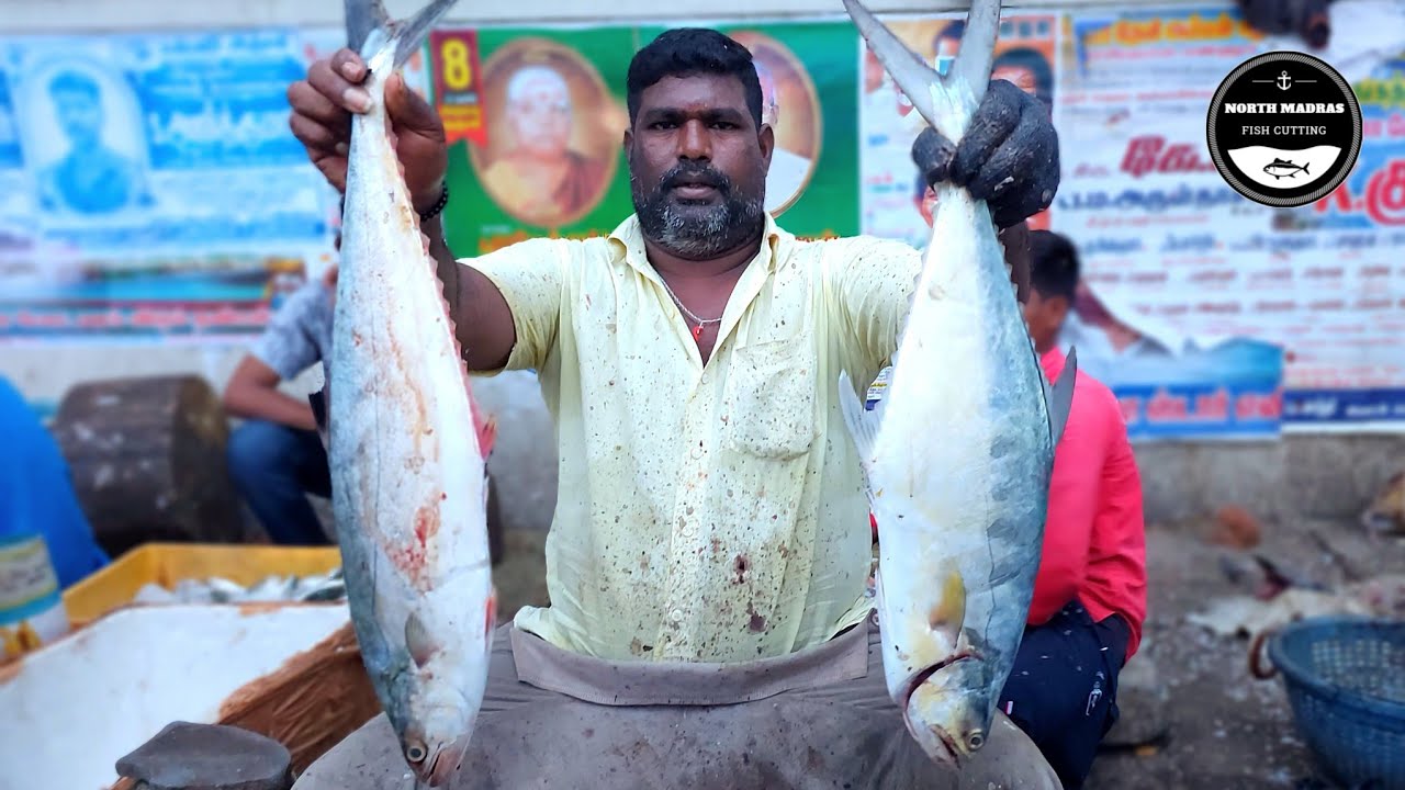 KASIMEDU 🔥 MINNAL RAJA |THOL PARRAI |FISH CUTTING SKILLS VIDEO # ...