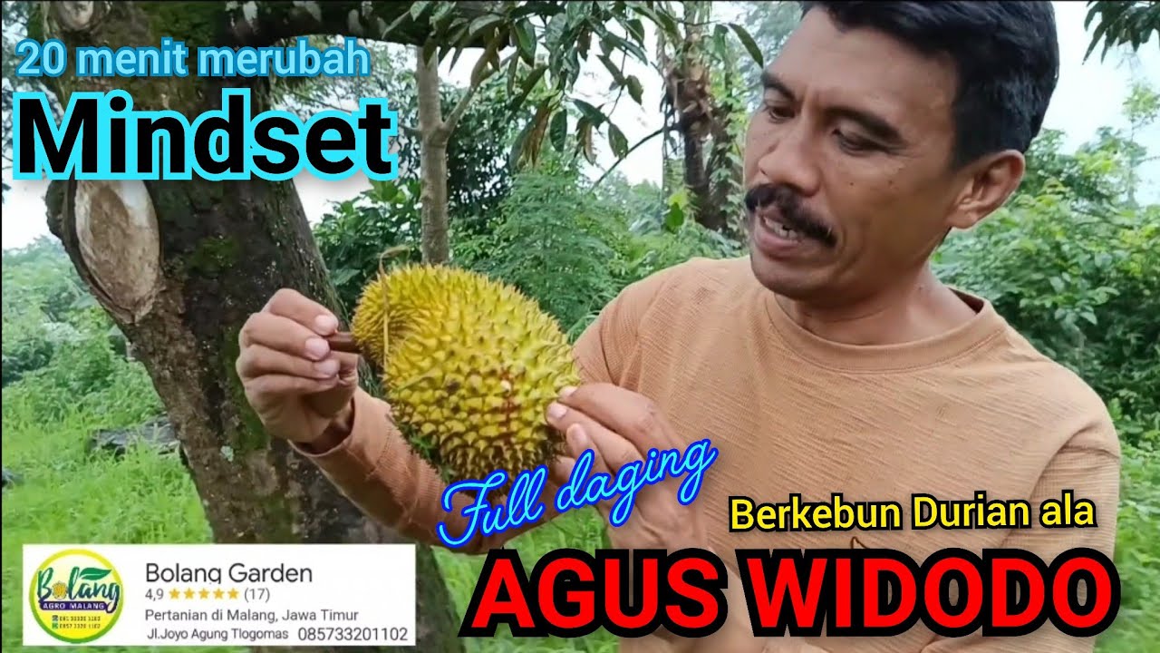 Mas AGUS WIDODO Ungkap Rahasia Sukses Berkebun Durian - YouTube