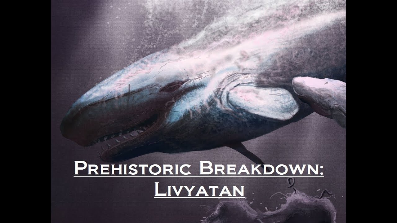 Prehistoric Breakdown: Livyatan - YouTube