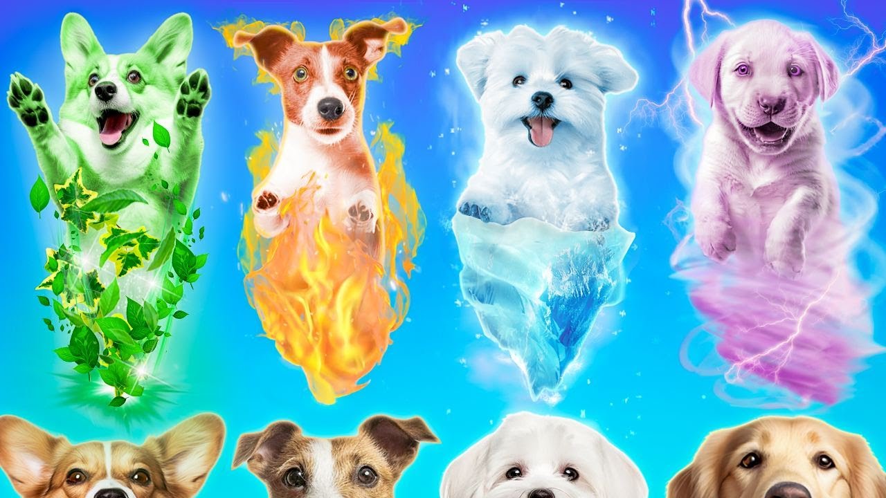 We Adopted Four Elements Pets! Emerald, Ruby, Diamond and Sapphire Dog ...