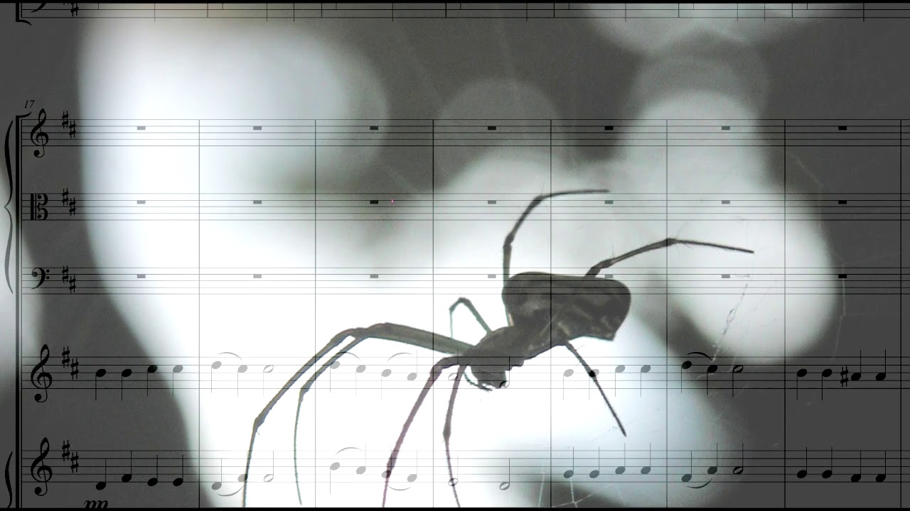 Scary Bedtime Songs - 3rd Movement: Slinking Spiders - YouTube
