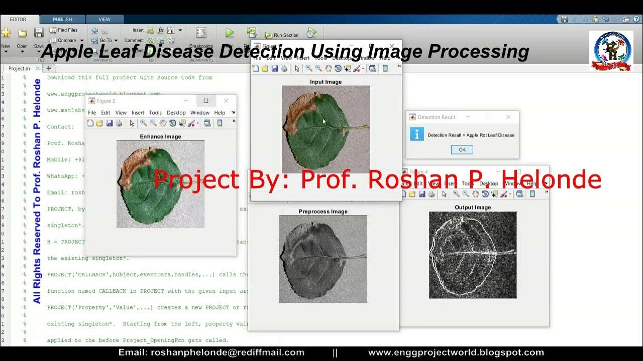 Apple Leaf Disease Detection Using Image Processing | Apple Plant Disease Detection Using Matlab ...