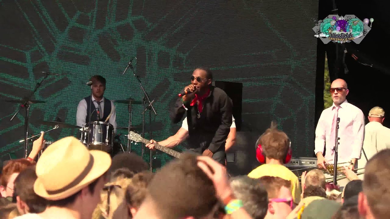 Blissfields 2015 FRIDAY 4K HD - YouTube