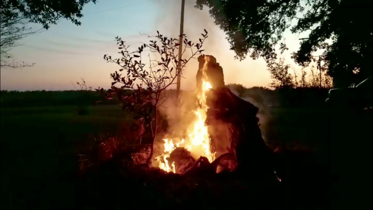 Tree Stump on Fire (Slow motion) - YouTube
