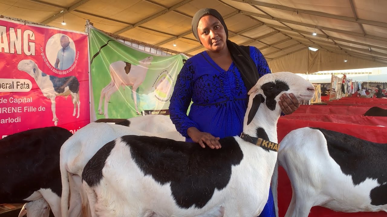 FOIRE ST LOUI BERGERIE YAYE FATOU NIANG - YouTube