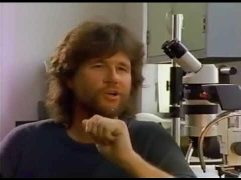 The Dinosaurs! The Monsters Emerge - YouTube