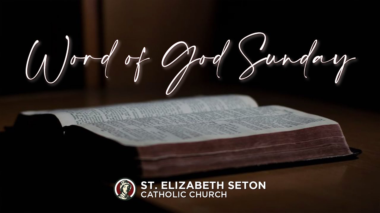 Holy Mass - Word of God Sunday (3rd Sunday in OT) - YouTube
