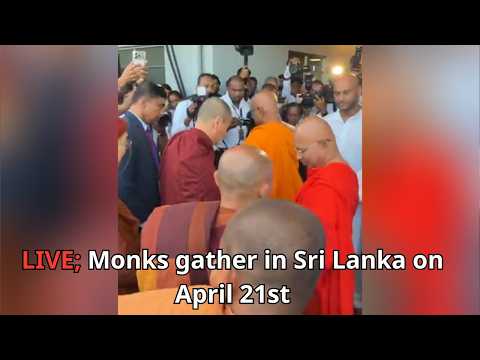 Pannakara, Aloka, and the monks have gathered in Sri Lanka | Walk for Peace