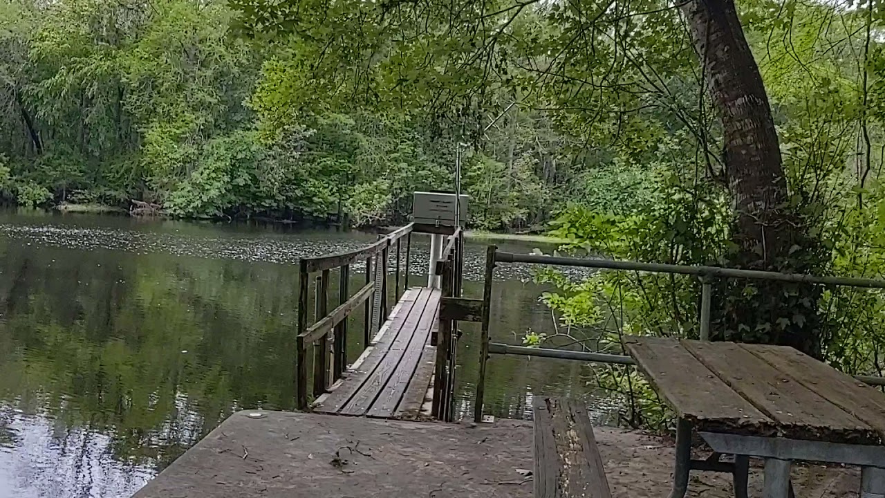 FL- Potts preserve - YouTube