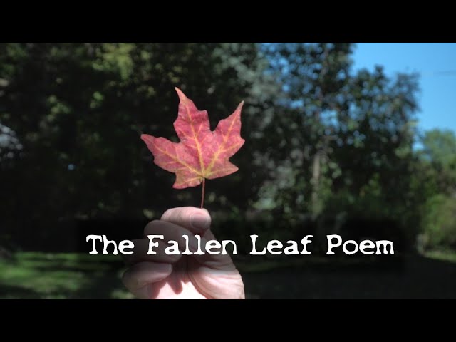 Fallen Leaf Poem Rts Fallen Leaves – Norma Rrae