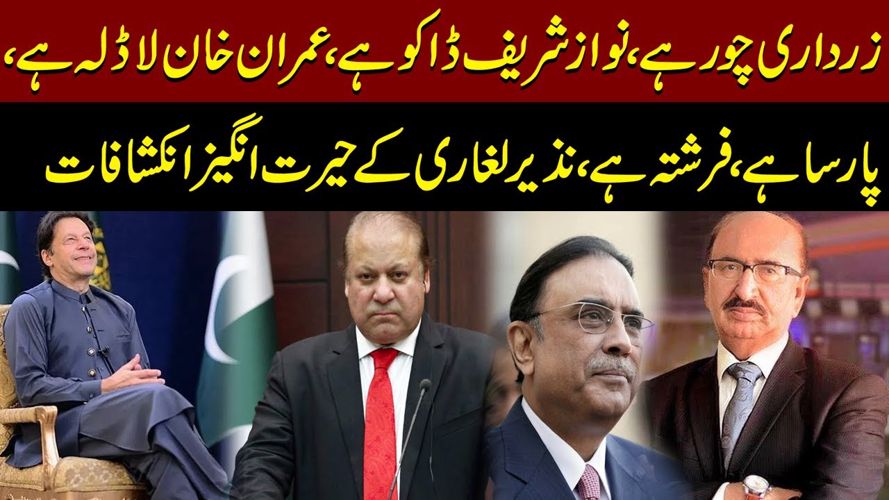 Zardari is Thief, Nawaz Sharif is Robber | Imran Khan is an Angel ...