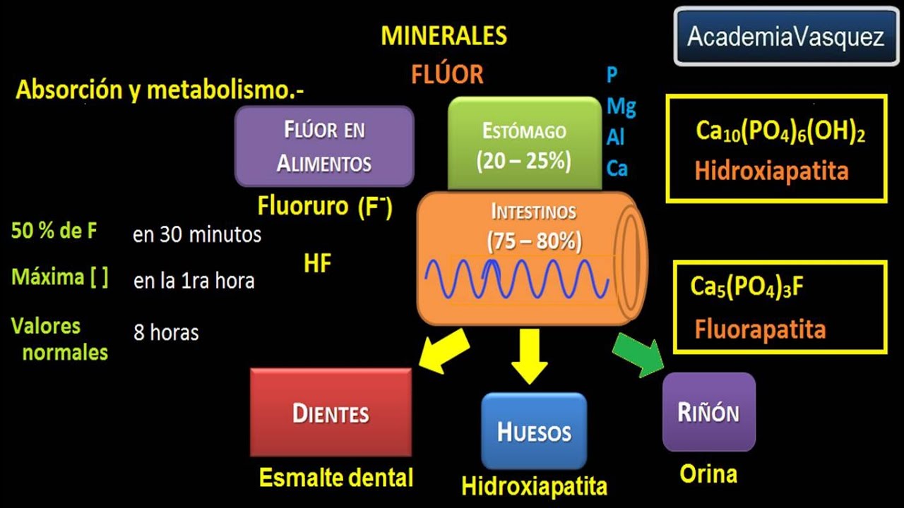 Minerales: Flúor - YouTube