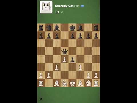 Beating Scaredy cat is so easy #chess #chesscom #magnuscarlsen #chessbaseindia - YouTube