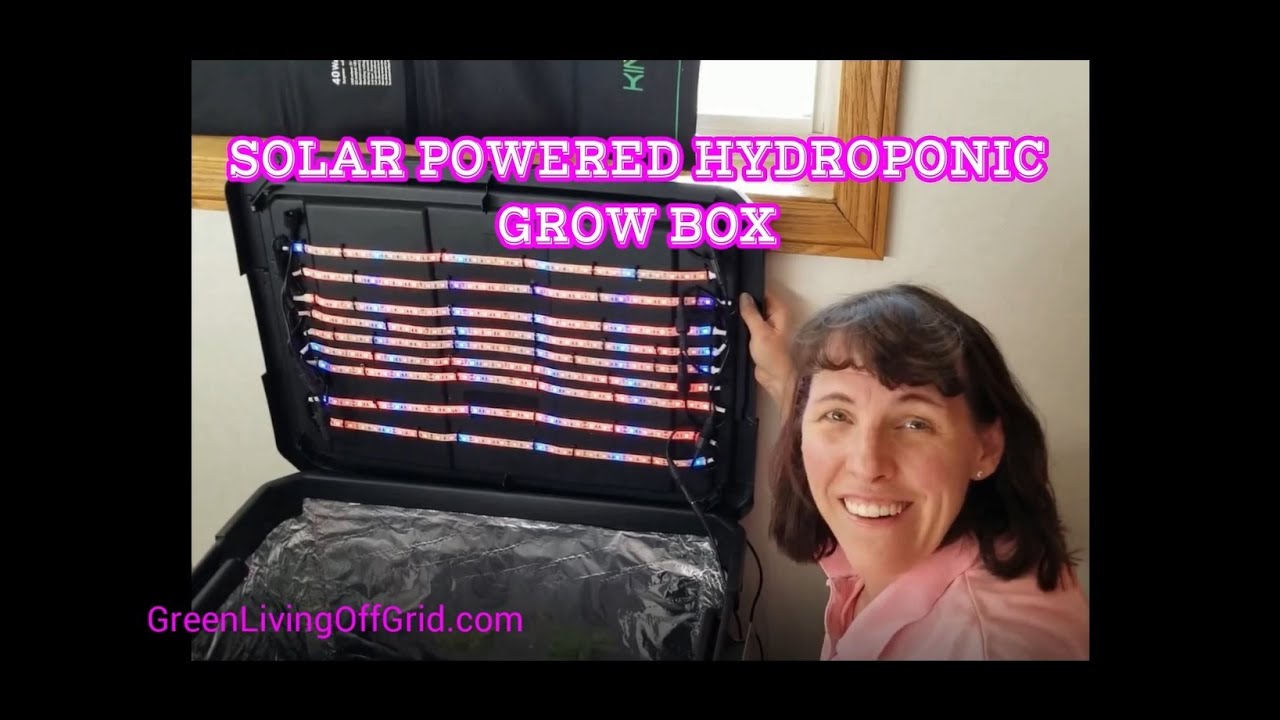Solar Powered Hydroponic Grow Box - Easy Steps for Beginners - YouTube