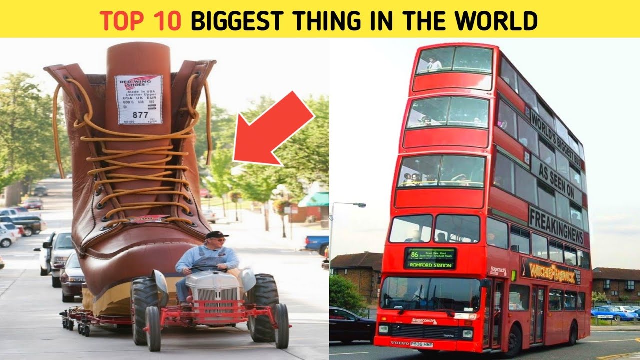 Top 10 biggest thing in the world (world record) - YouTube