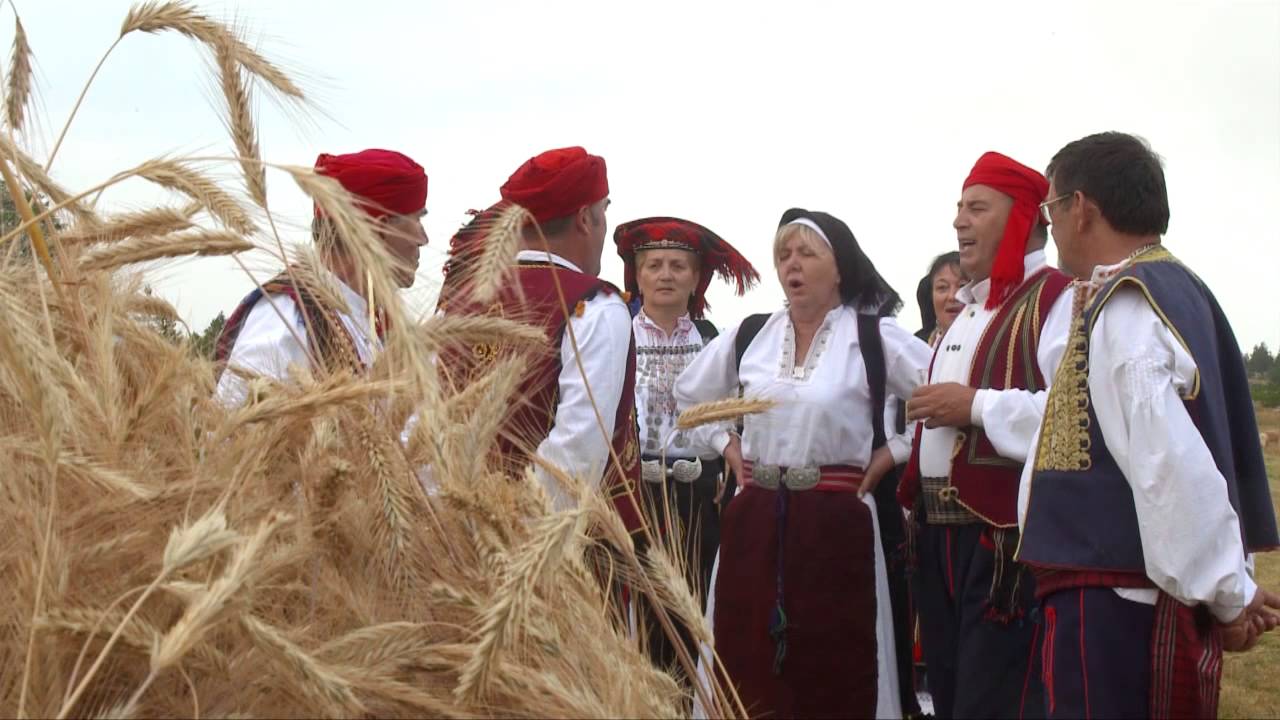 risovac 2013 - YouTube